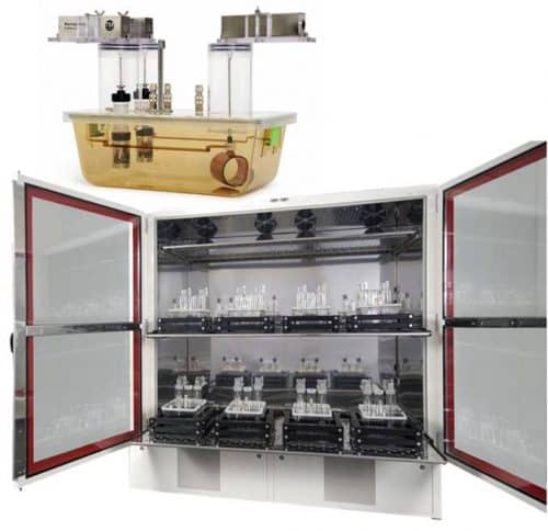 PHÉNOTYPAGE – Anexplo